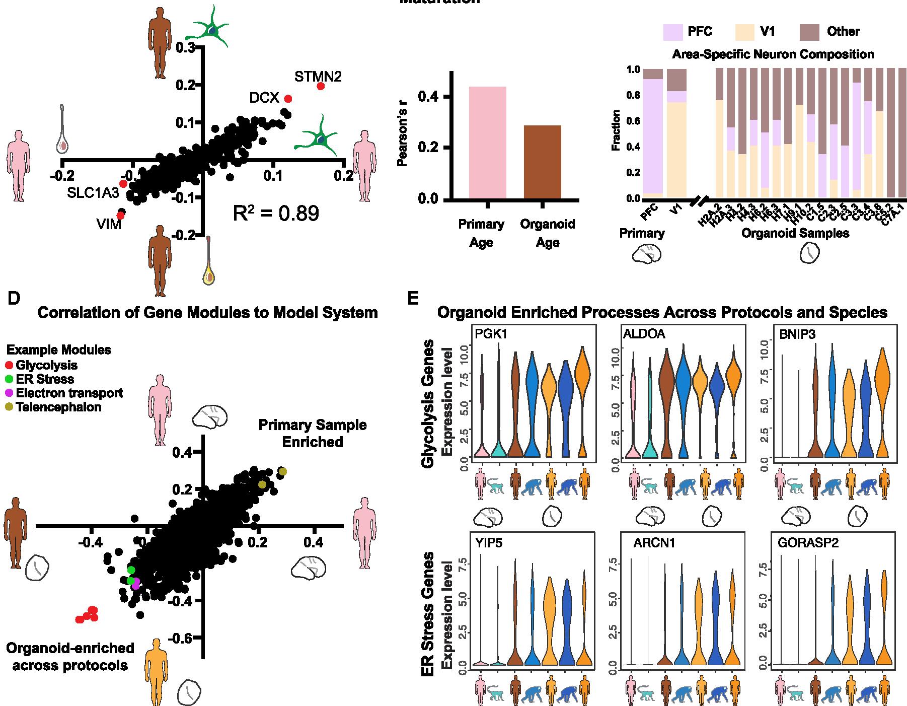 High-Dimensional Data Visualization