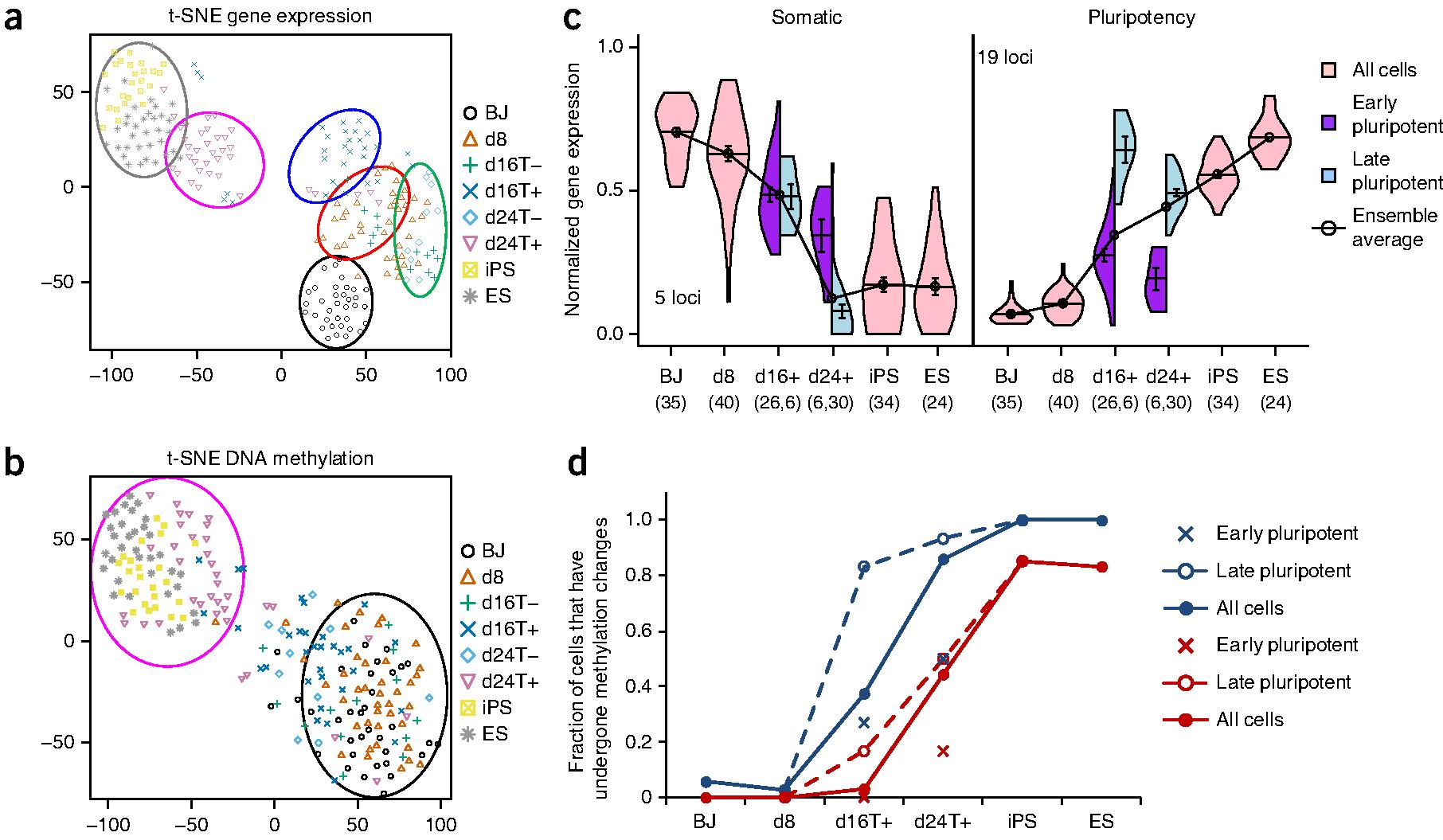 High-Dimensional Data Visualization